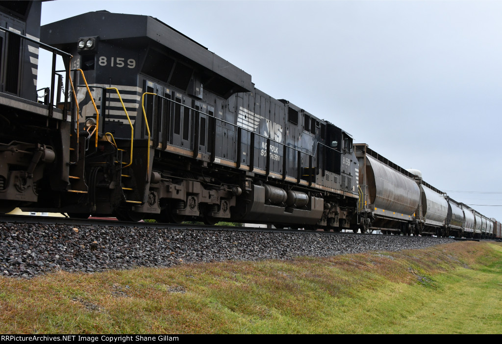 NS 8159 Roster shot.